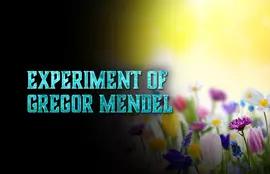 Mendel selected of contrasting character