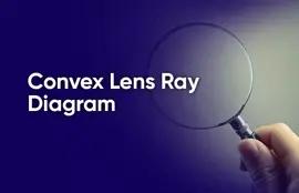 Distinguish between lateral magnification and longitudinal ...